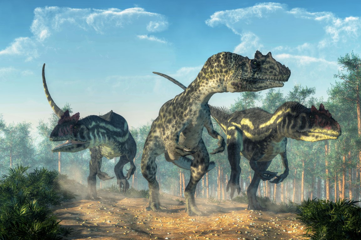 Test Your Knowledge About Allosaurus - The Fierce Jurassic Predator ...