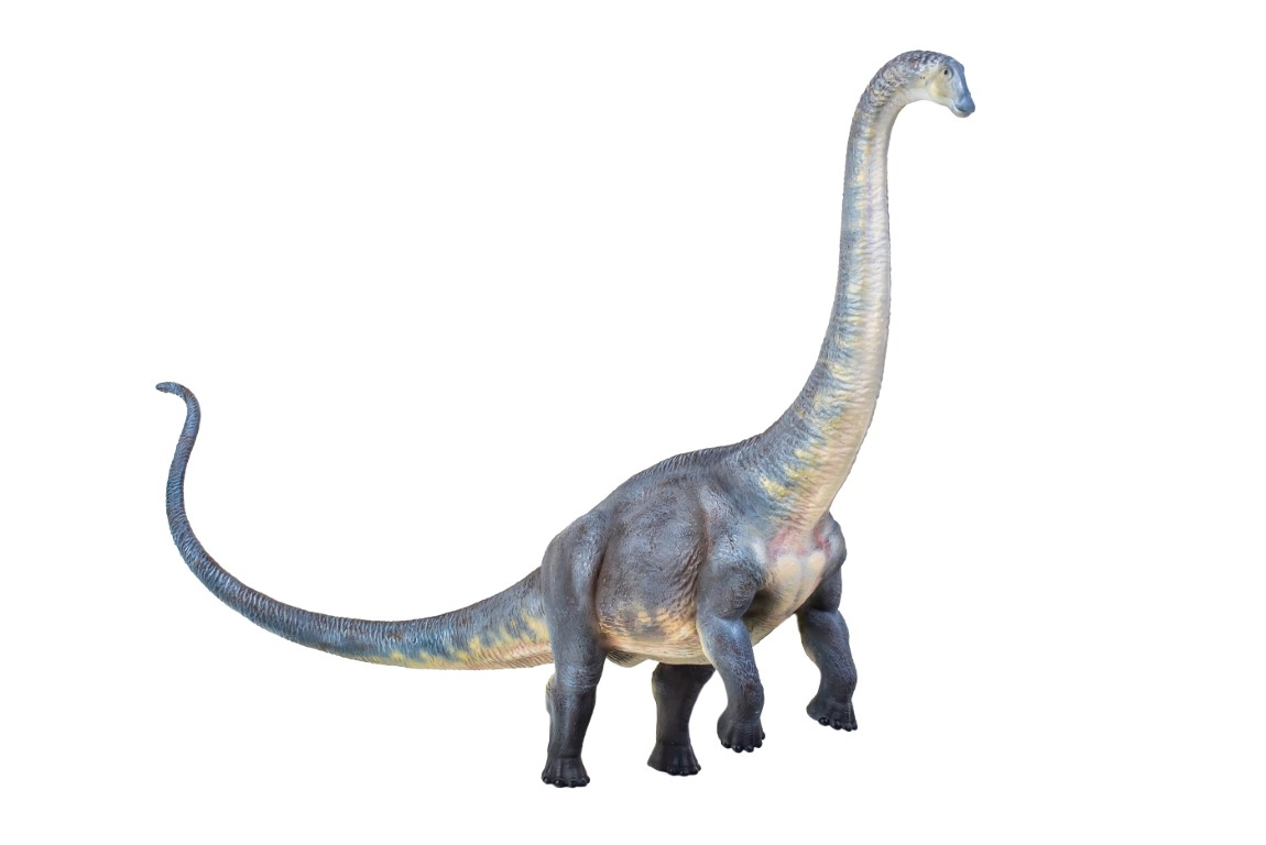 Brontosaurus Trivia Challenge: Test Your Knowledge about the Beloved ...