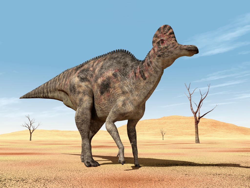Corythosaurus Challenge: A Quiz About the Dinosaurs with the Helmet ...