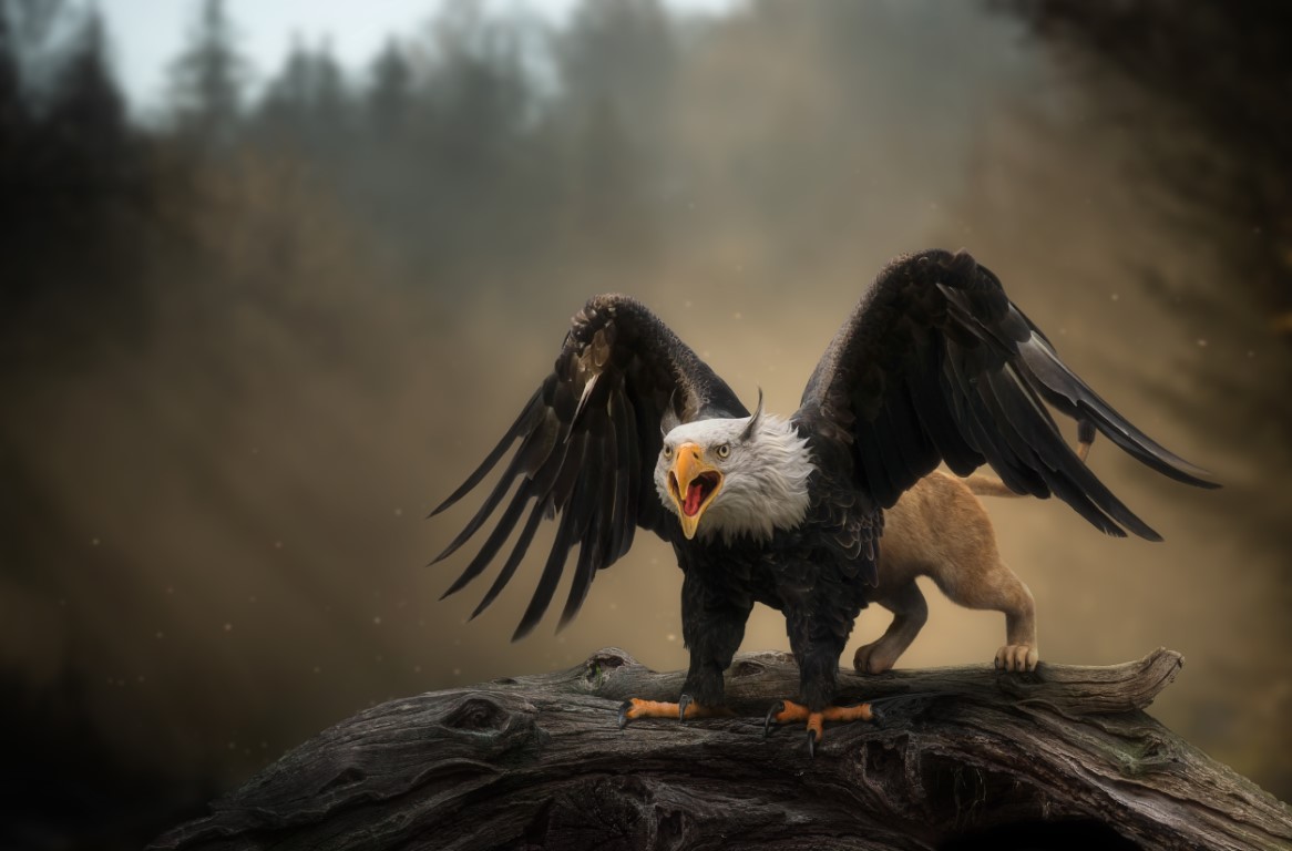 What Do You Know About Mythical Creatures? | Quiz Animals