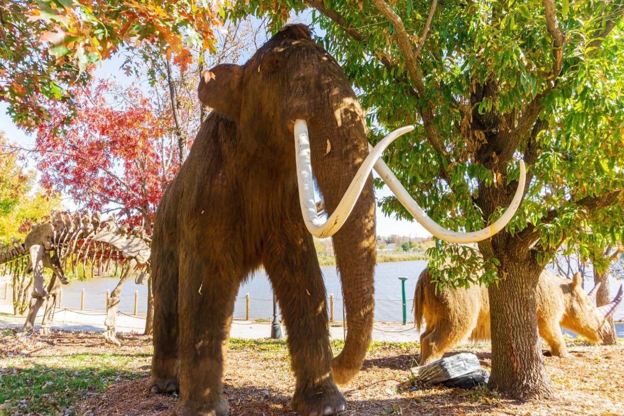 How Well Do You Know Extinct Animals? | Quiz Animals